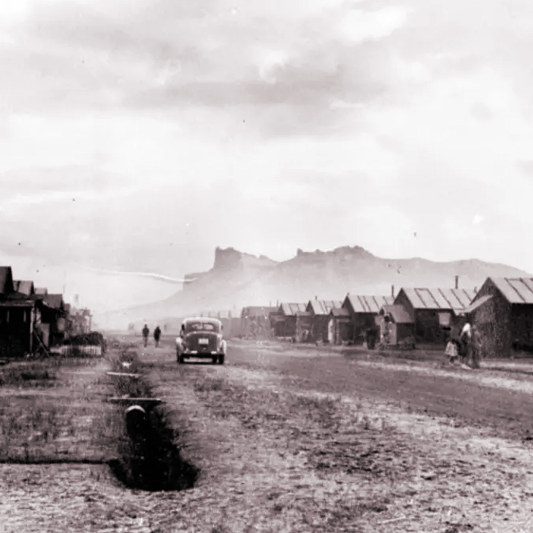 Tule Lake - Quiet Americans